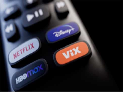 TelevisaUnivision y Roku anuncian que ViX está ya disponible en la ...