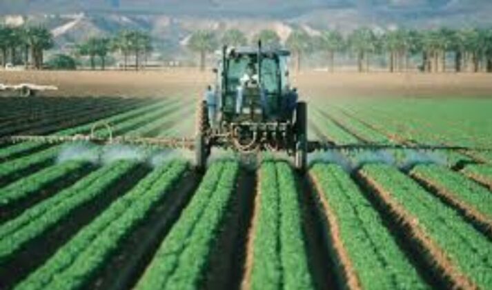 Perú alcanzaría récord histórico de US$80.000 millones en exportaciones ...