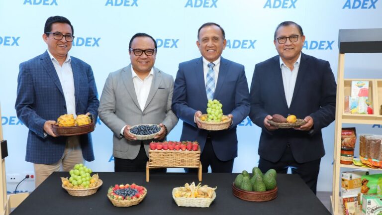 Agroexportaciones peruanas: ADEX insta a reforzar infraestructura y ...